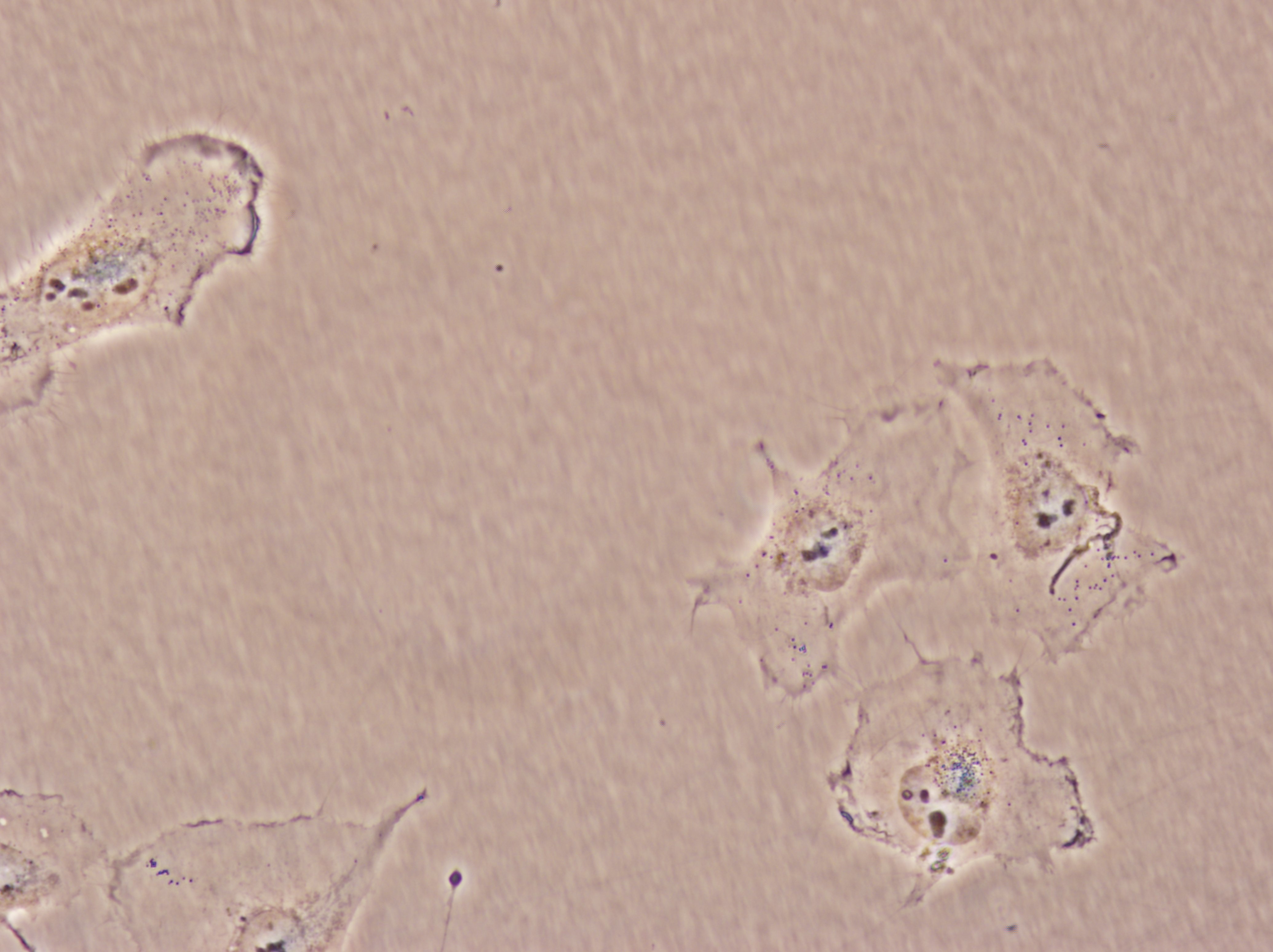 SIGNAL AND IMAGE PROCESSING GROUP AT BILKENT UNIVERSITY